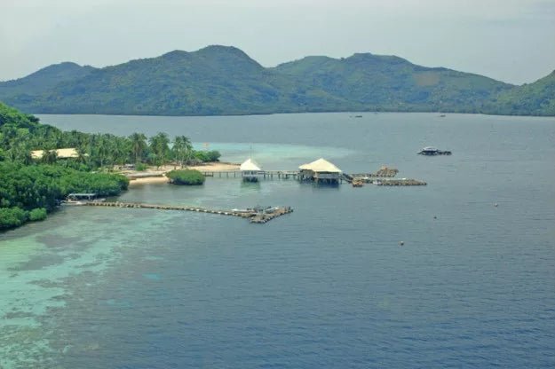 Pearls from the Pearl of the Seas: A Look at Filipino Pearls